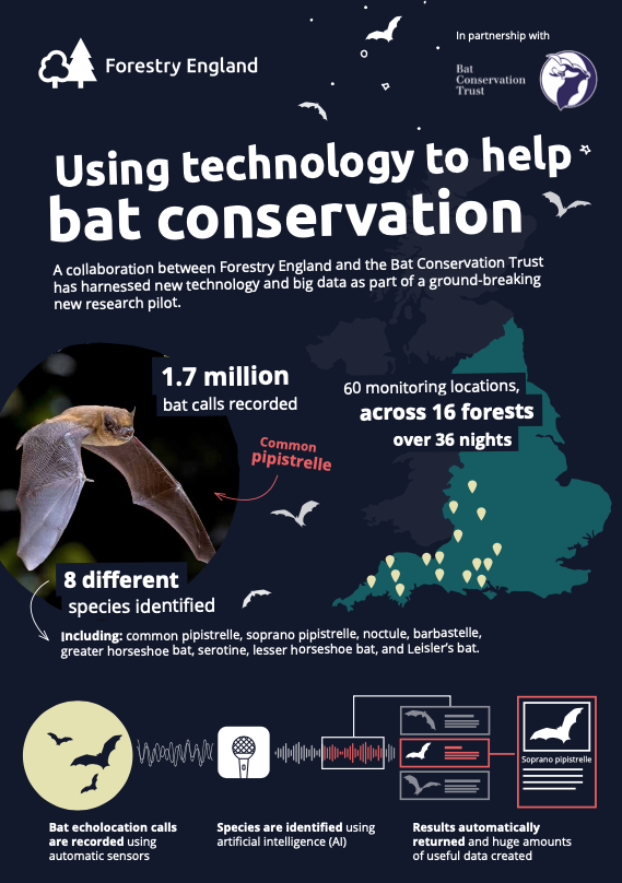 Bat protection study pilots AI technology | Robotics and Automation