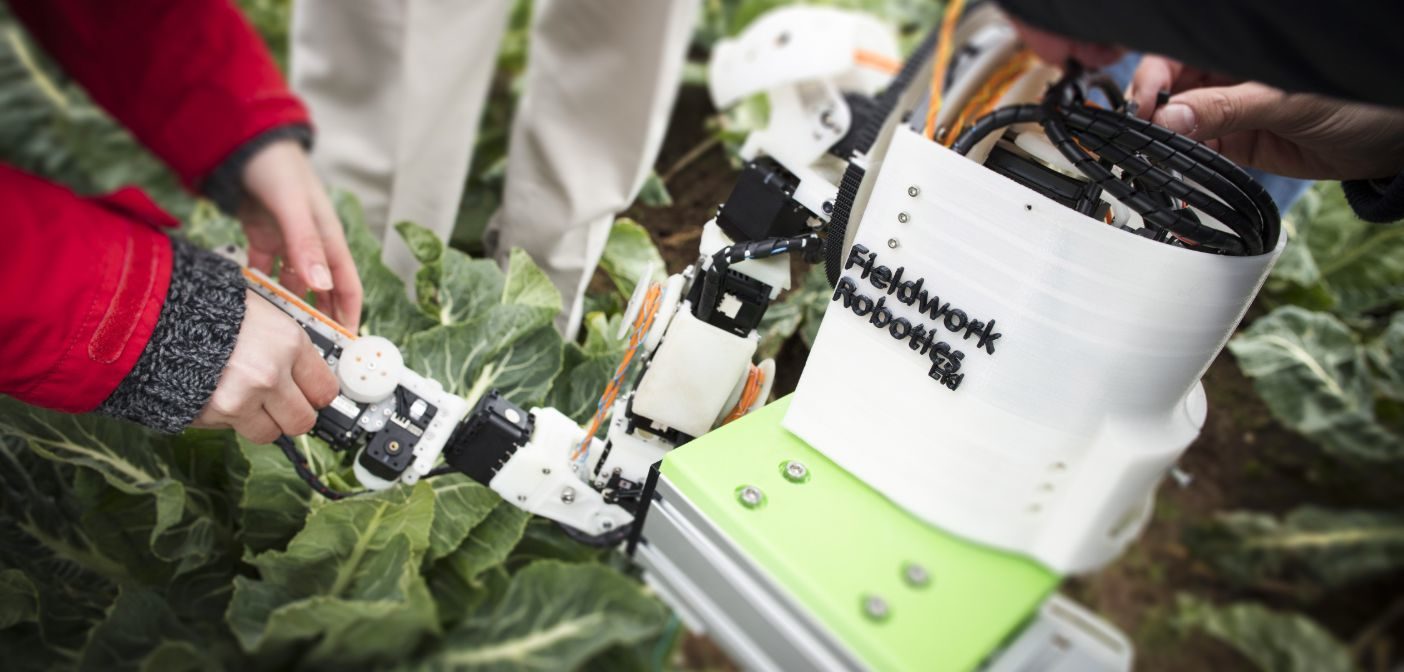 New funding to scale-up Fieldwork raspberry-harvesting robot | Robotics ...