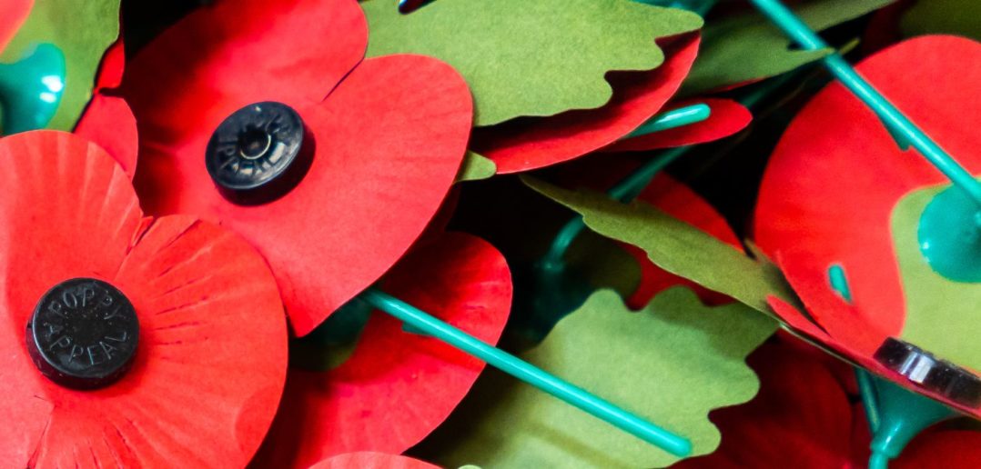Royal British Legion automates poppy making | Robotics and Automation
