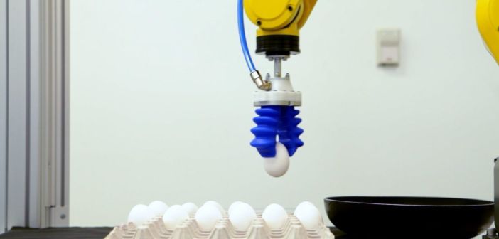 Soft Robotics raises US$10m to bring AI-powered food robotics to market ...