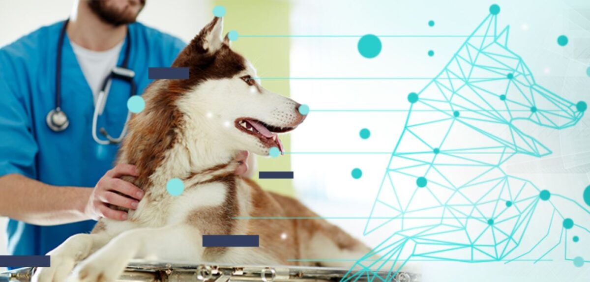 Tech-led initiative seeks machine-learning tools to replace use of dogs ...