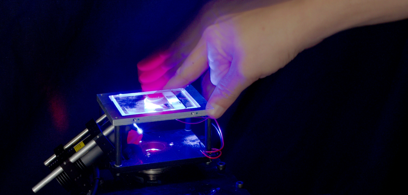 Robots need human sense of touch, according to study | Robotics and ...