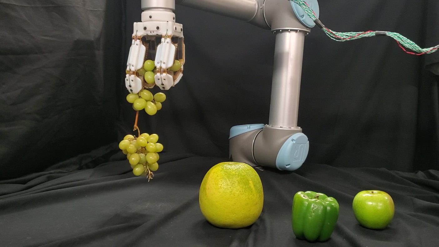 Stanford engineers develop robotic hand with gecko-inspired grip ...