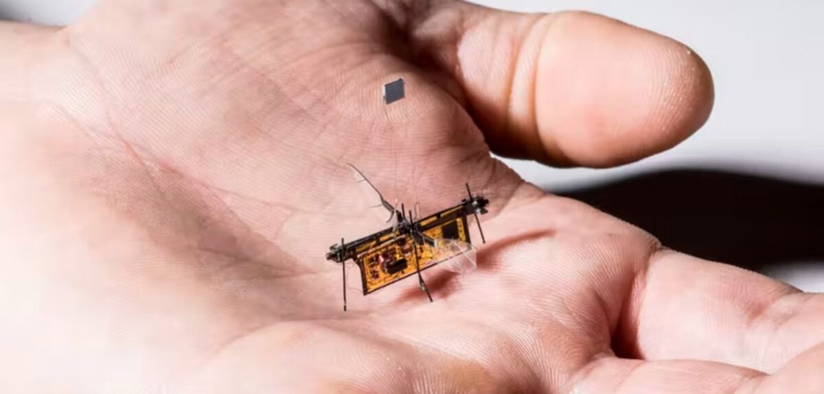 Five of the world’s tiniest robots | Robotics and Automation