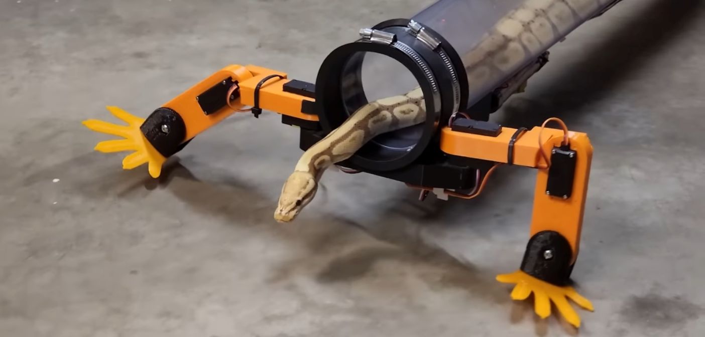 Engineer builds robotic legs for snake | Robotics and Automation