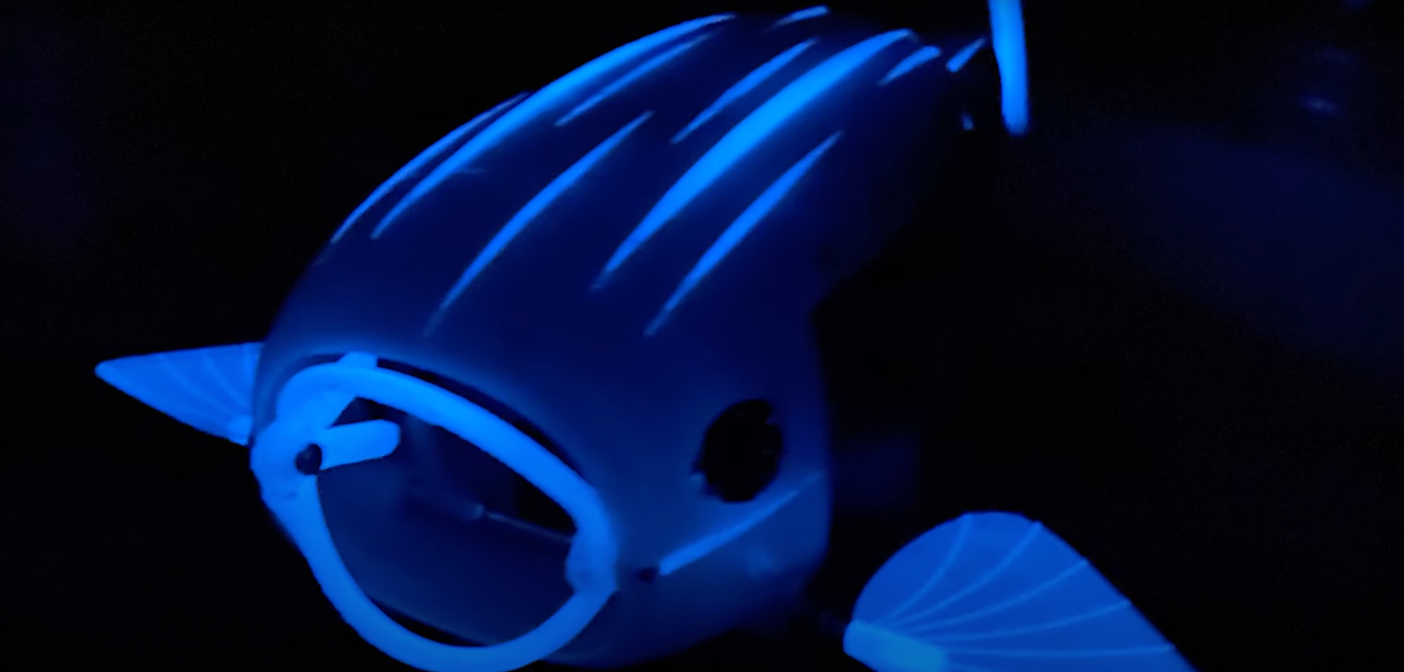 Robot fish 'Gillbert' filters microplastics as it swims | Robotics and Automation