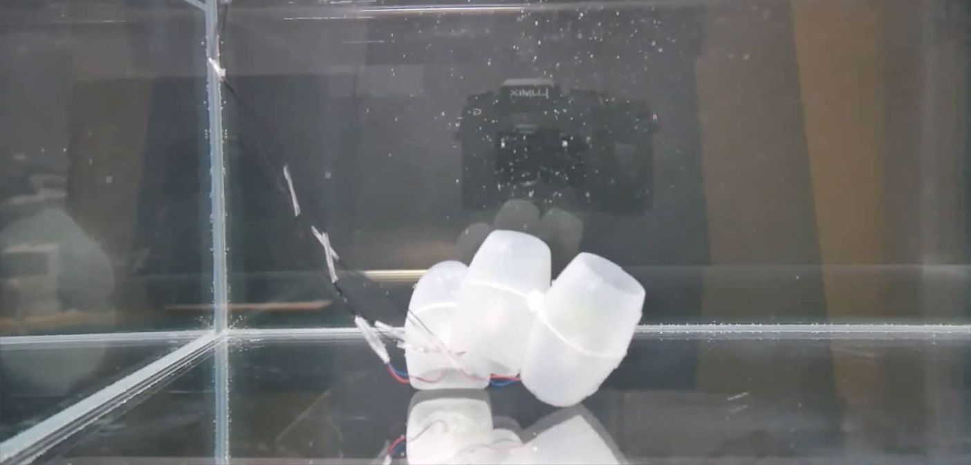 Researchers from University of Bristol design underwater robots based ...