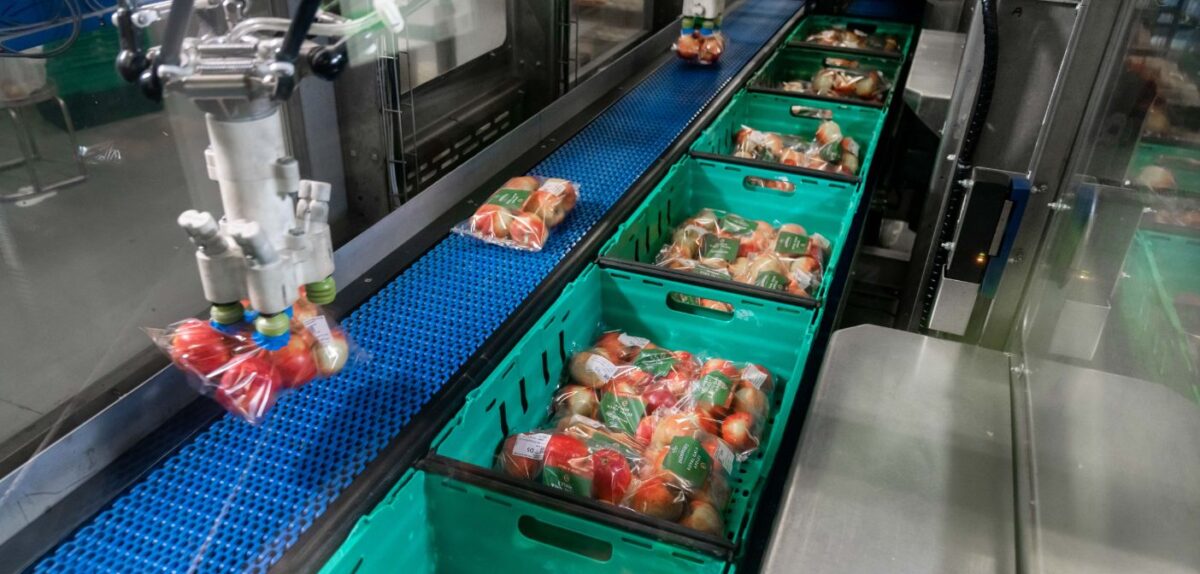Automation accelerates packing efficiency at Morrisons' fresh-produce ...