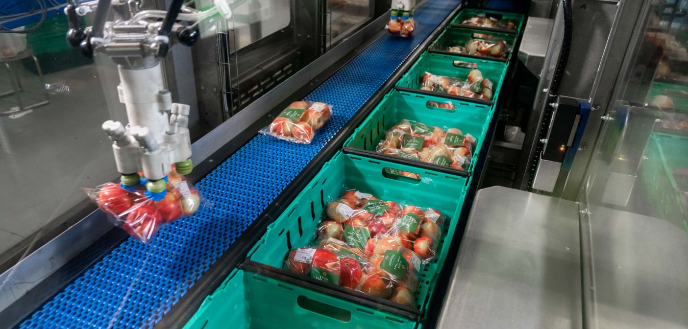 Automation accelerates packing efficiency at Morrisons' fresh-produce ...