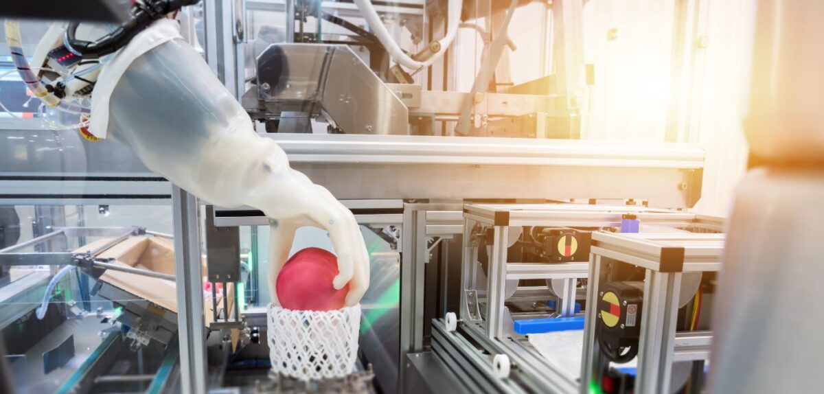 Helping hand | Robotics and Automation