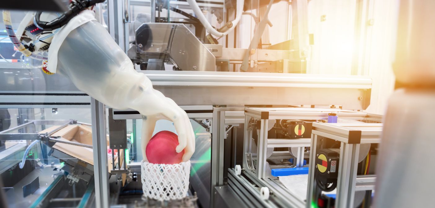 Helping hand | Robotics and Automation