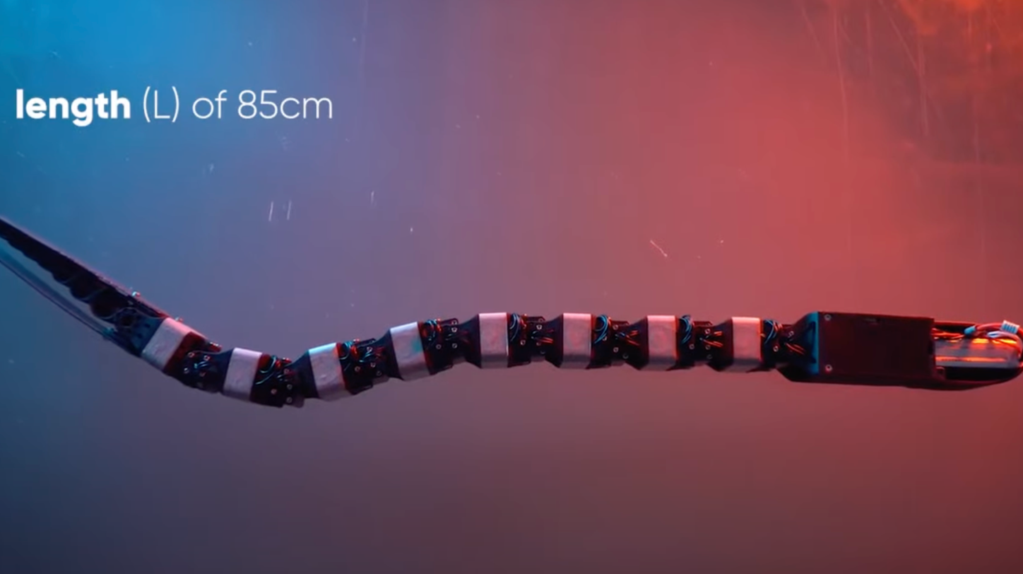 Roboticists build motorised eel that can swim | Robotics and Automation