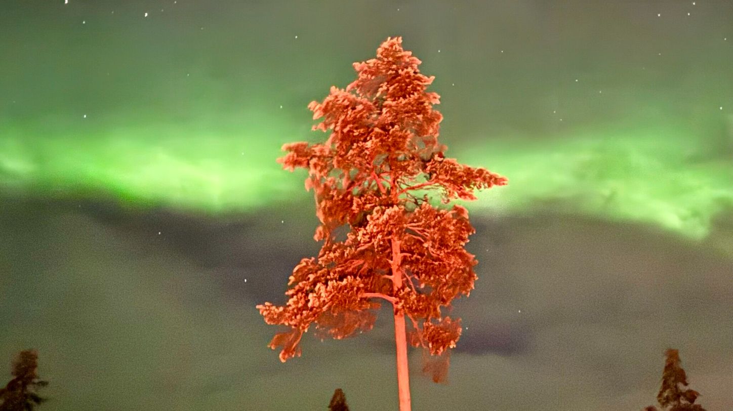 Robotics And Automation Magazine Publisher Launches Business Intelligence Service Robotics And