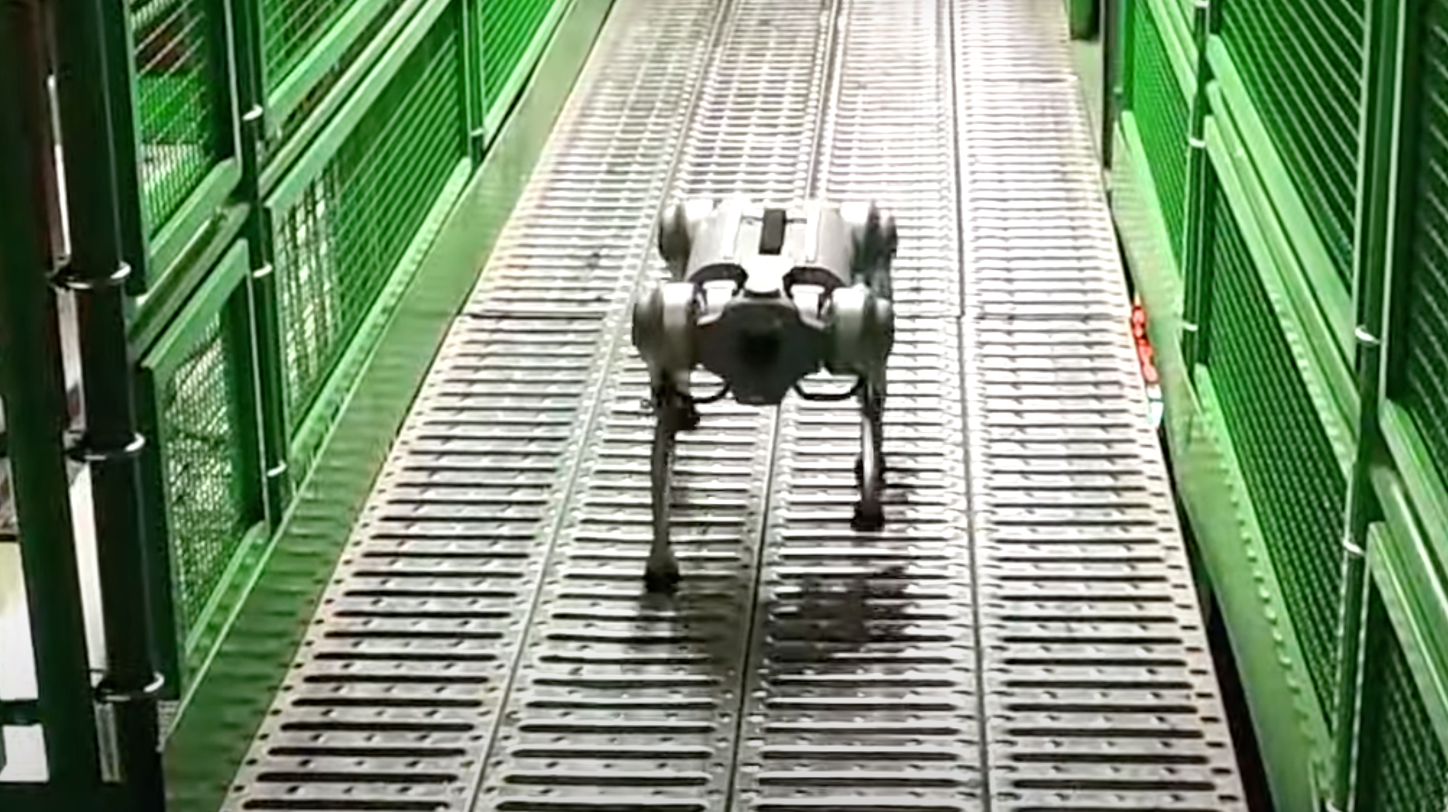 Robot dog performs radiation test at Large Hadron Collider | Robotics ...