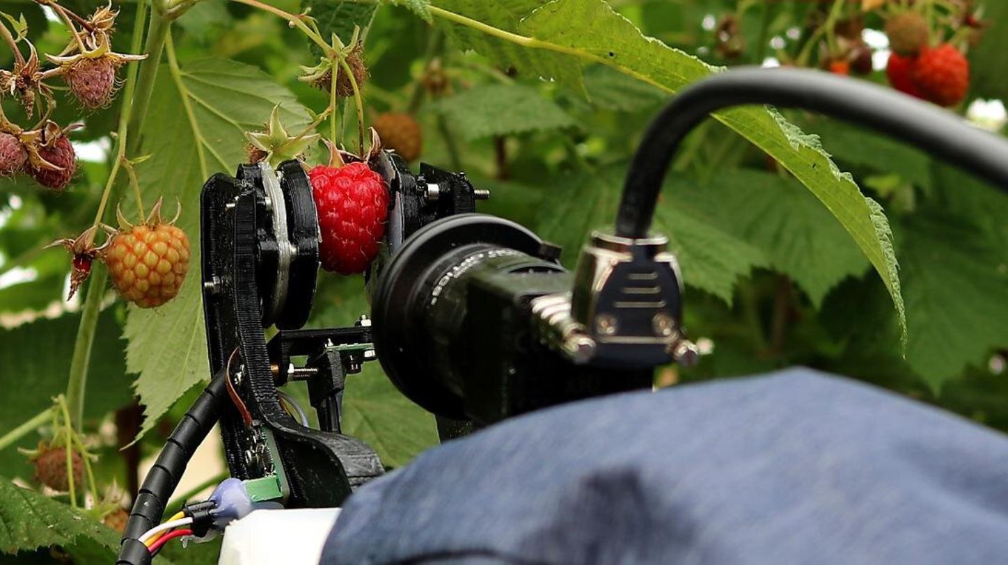 Uk Berry Picking Robot Developer Receives £600 000 Robotics And Automation