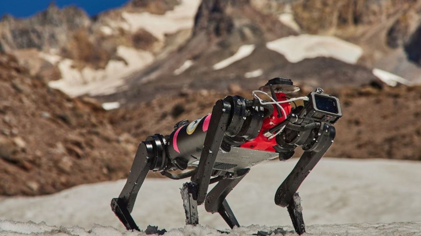US research team receives US$2m to teach robotic dog to walk on moon ...