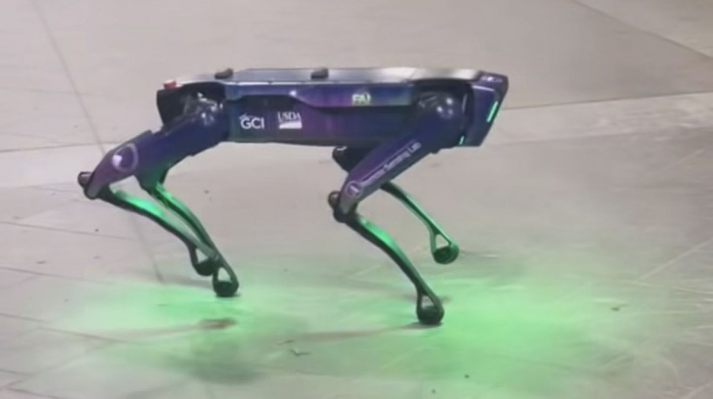 Alaskan airport deploys robotic dog to deter birds | Robotics and ...