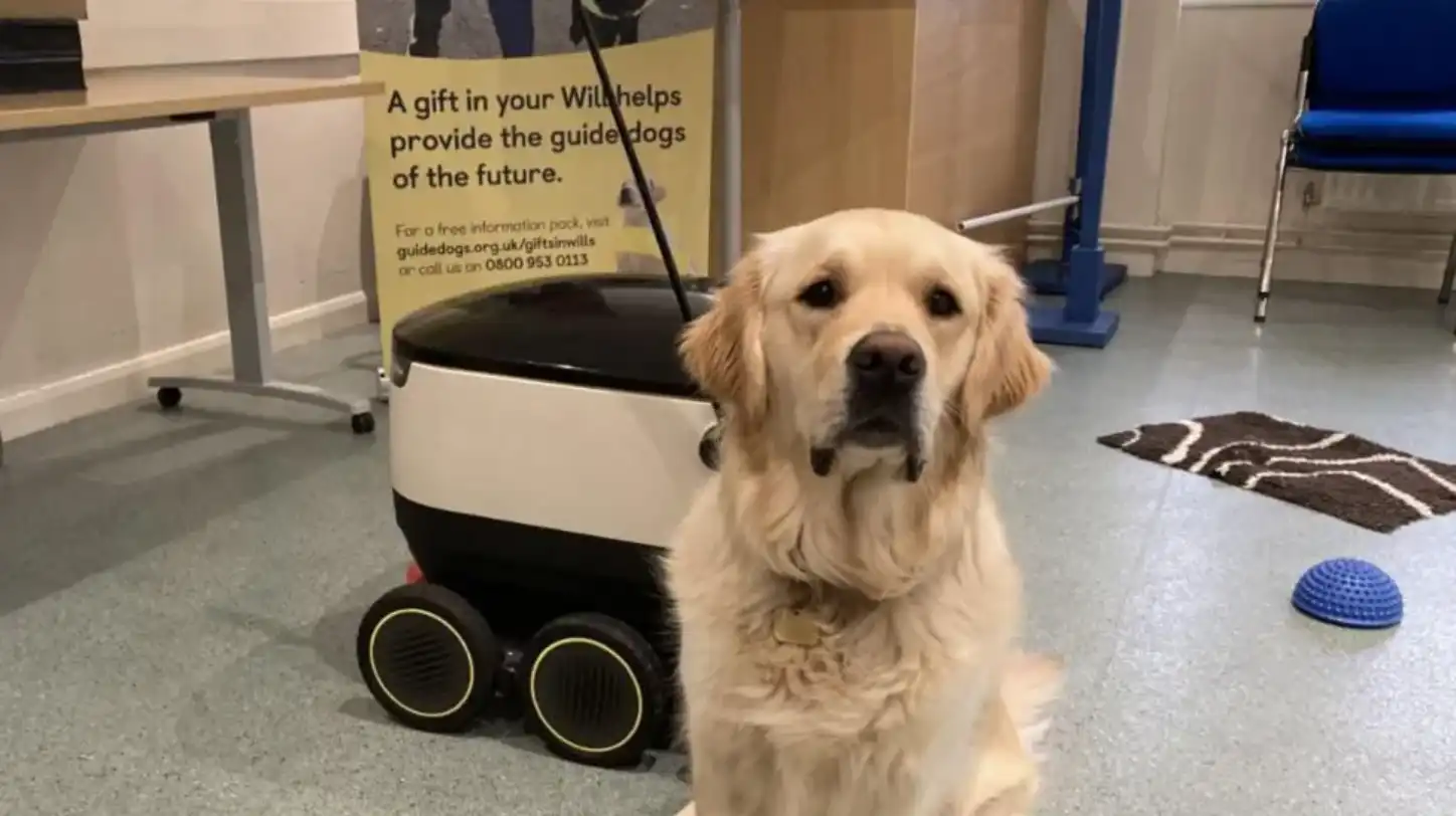 Specialist training helps guide dogs get used to delivery robots ...