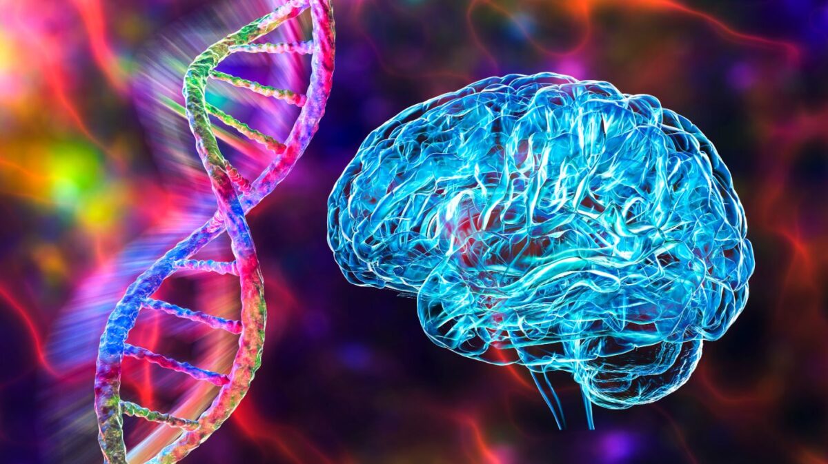 UK lab automation company helps US research institute automate human ...