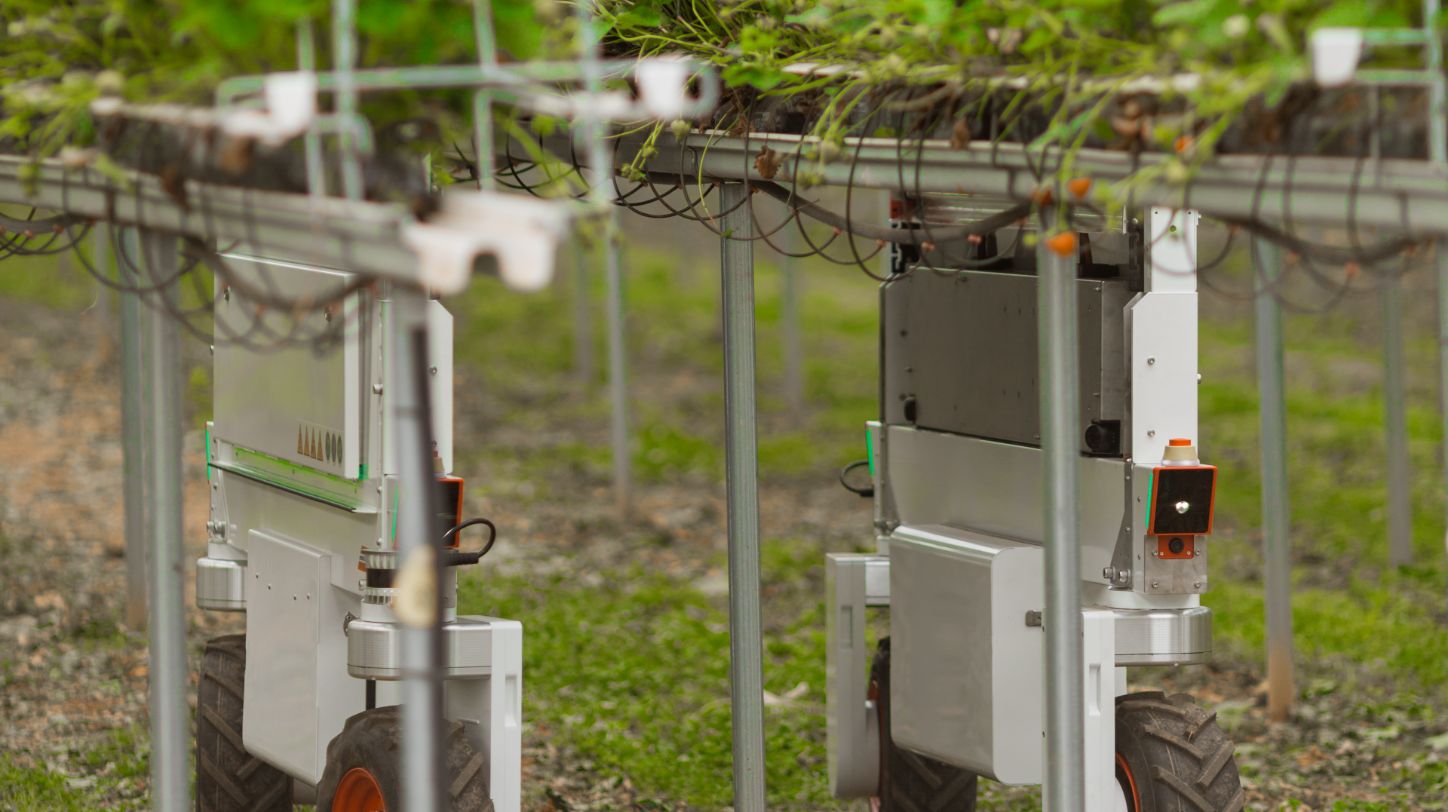 Saga Robotics, Bitwise Agronomy, and Chambers Farm join forces for ...